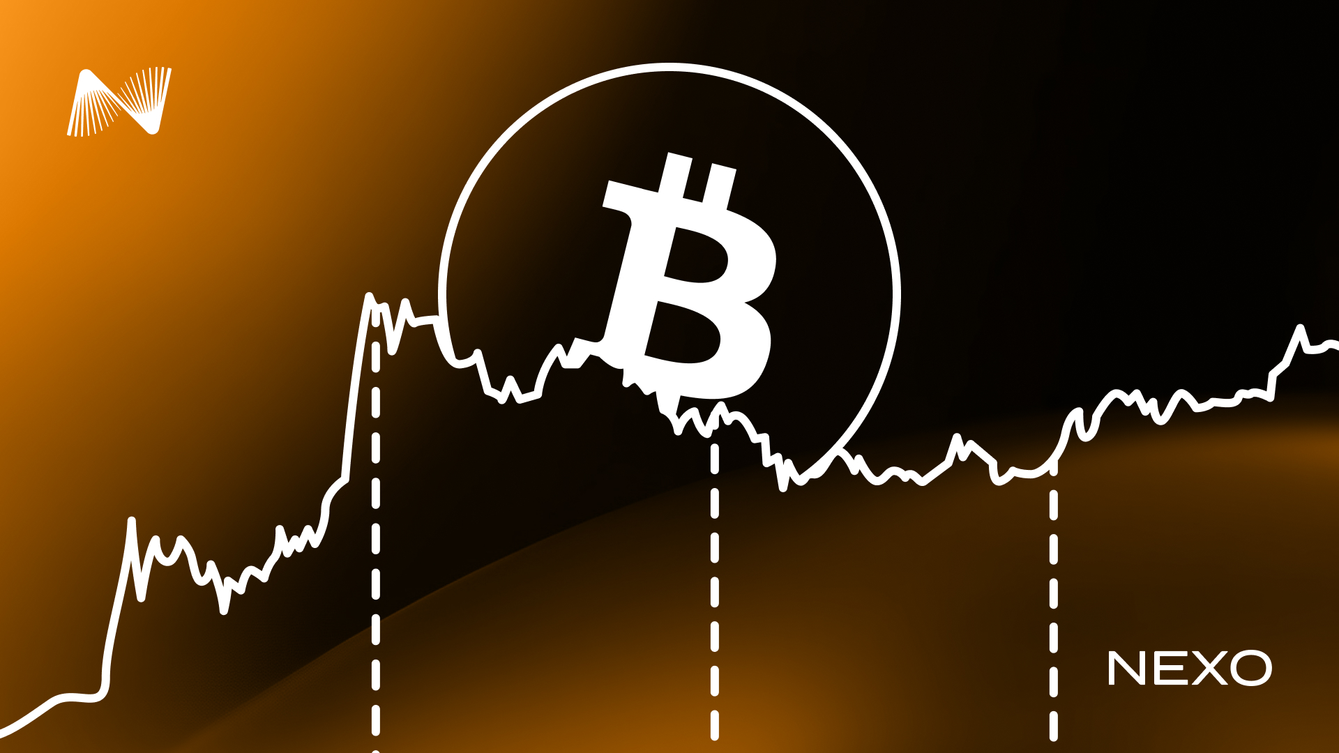 What Is the Bitcoin Cycle? | Simple Market Guide